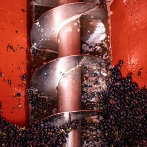 Why is Rosé Pink? A Guide to Rosé - Wine 365